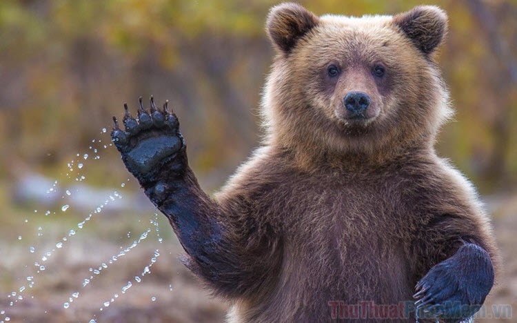 Beautiful Goodbye Images