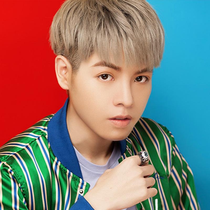 Top 15 Most Beloved Young Vietnamese Singers - Mytour.vn