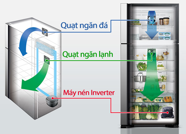 Understanding the Structure and Operation Principles of Refrigerators