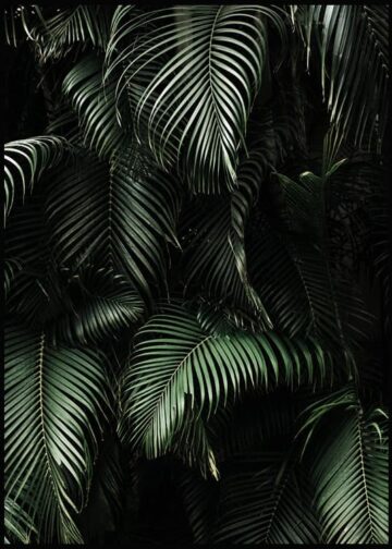 The Essential Comeback of Deep Green in Fashion - Mytour