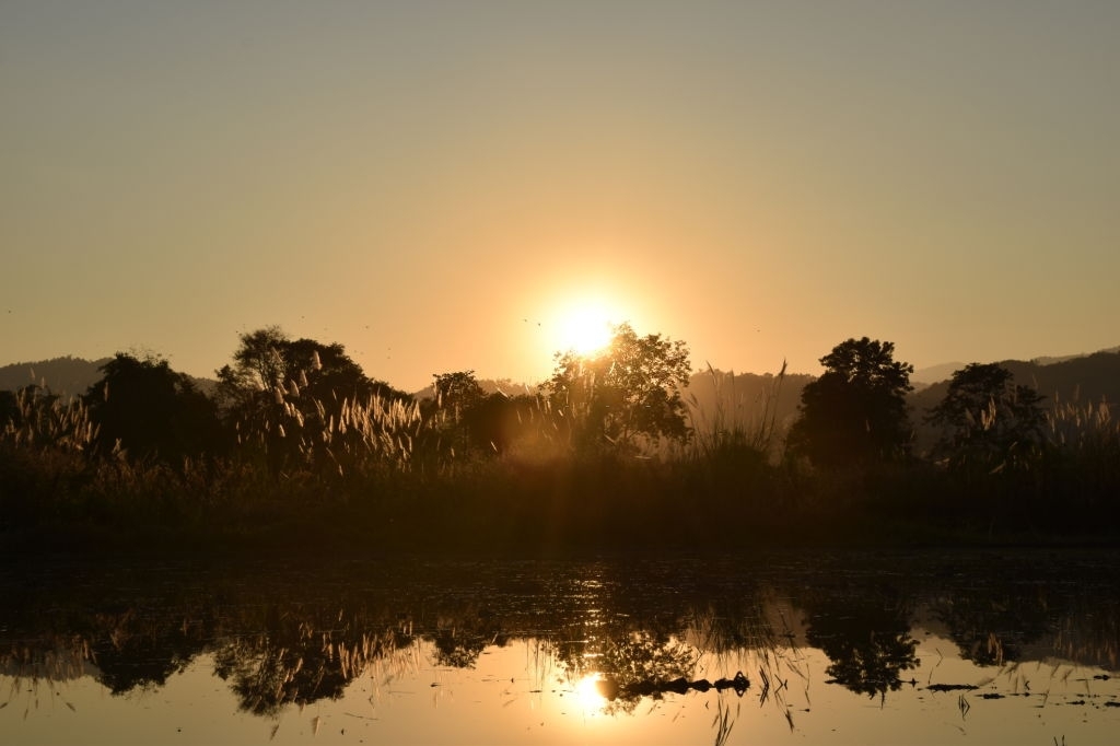 The Most Enchantingly Melancholic Nature Images