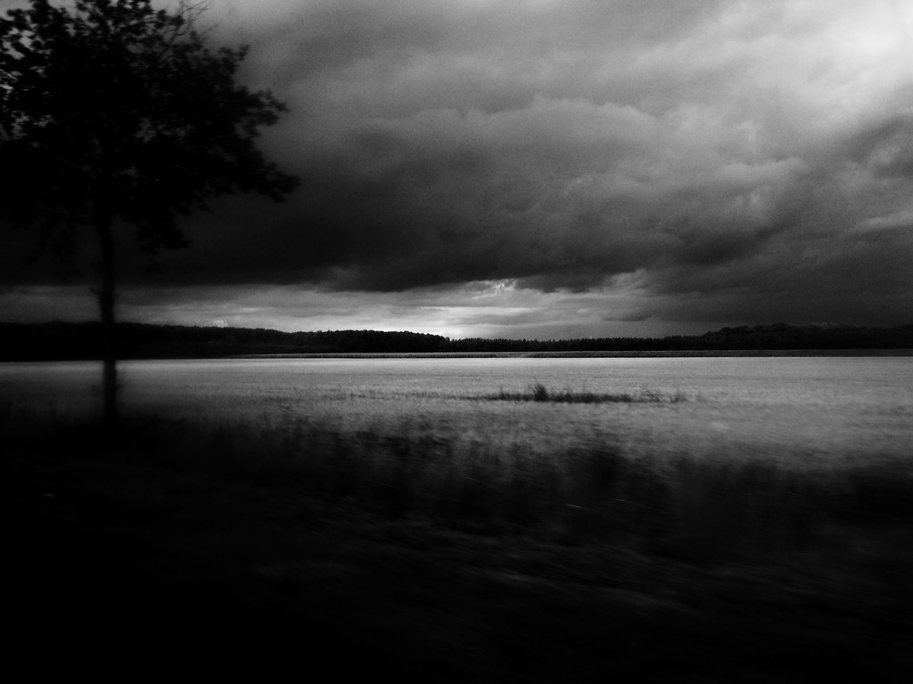 The Most Enchantingly Melancholic Nature Images