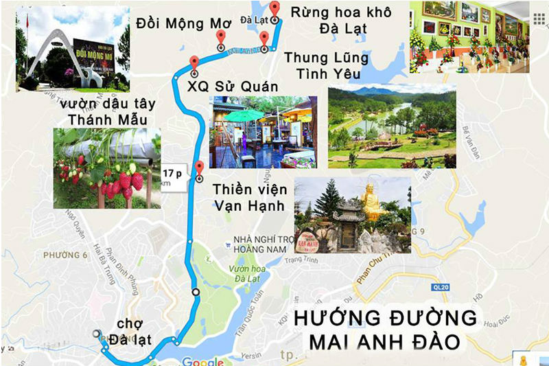 Latest Da Lat Travel Map | Detailed Guide