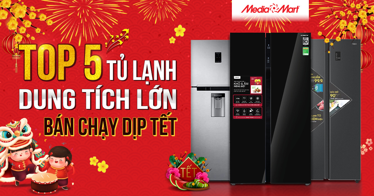 Top 5 Best-Selling Large Capacity Refrigerators for Tet