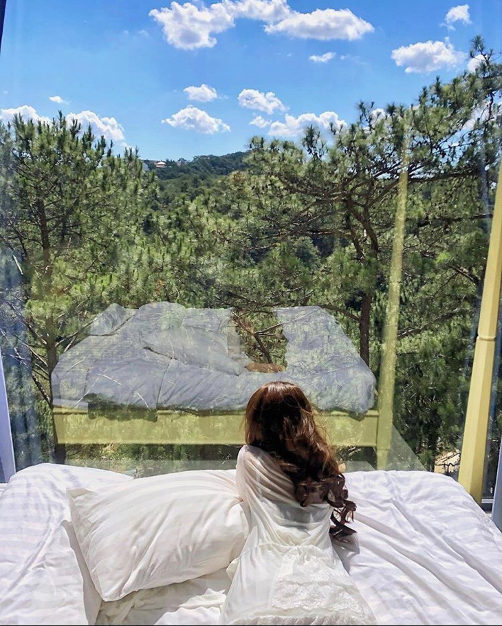 Discover the Top 7 Homestays with Glass Room Views in Đà Lạt - Mytour