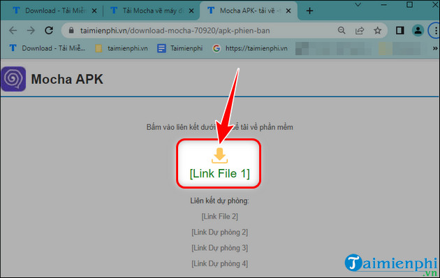 Discover the Art of Using Mocha on Your Computer, Texting on Viettel ...