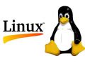 The Most Popular Linux Operating Systems