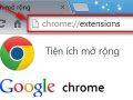 Customize Extension Settings in Google Chrome