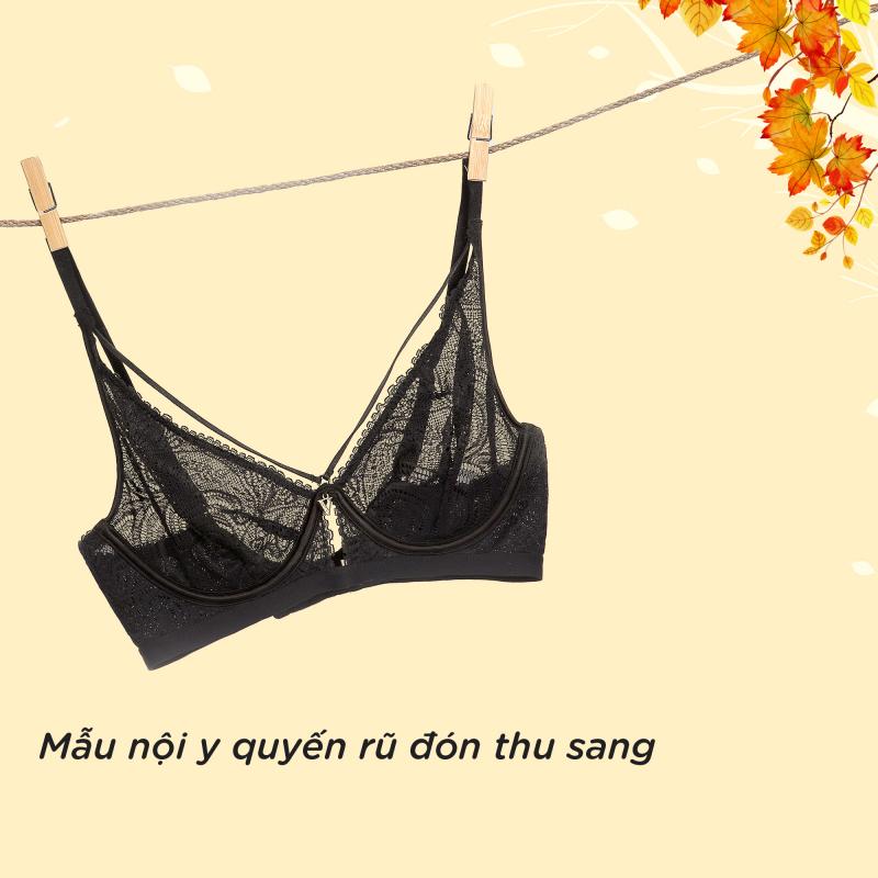 Top 10 Famous Lingerie Brands in Vietnam - Mytour.vn