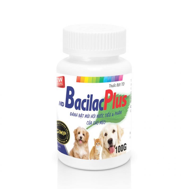 Top 10 Probiotics for Digestive Support in Dogs and Cats