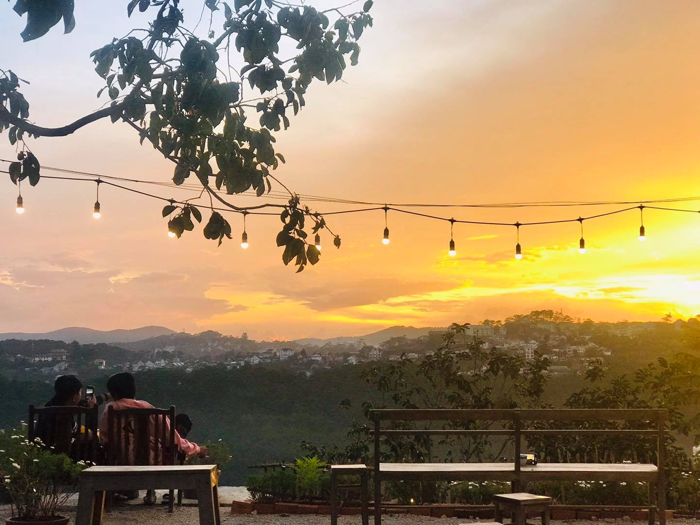 Discover the Best 70 Cafes with Stunning Views in Dalat - A Paradise ...