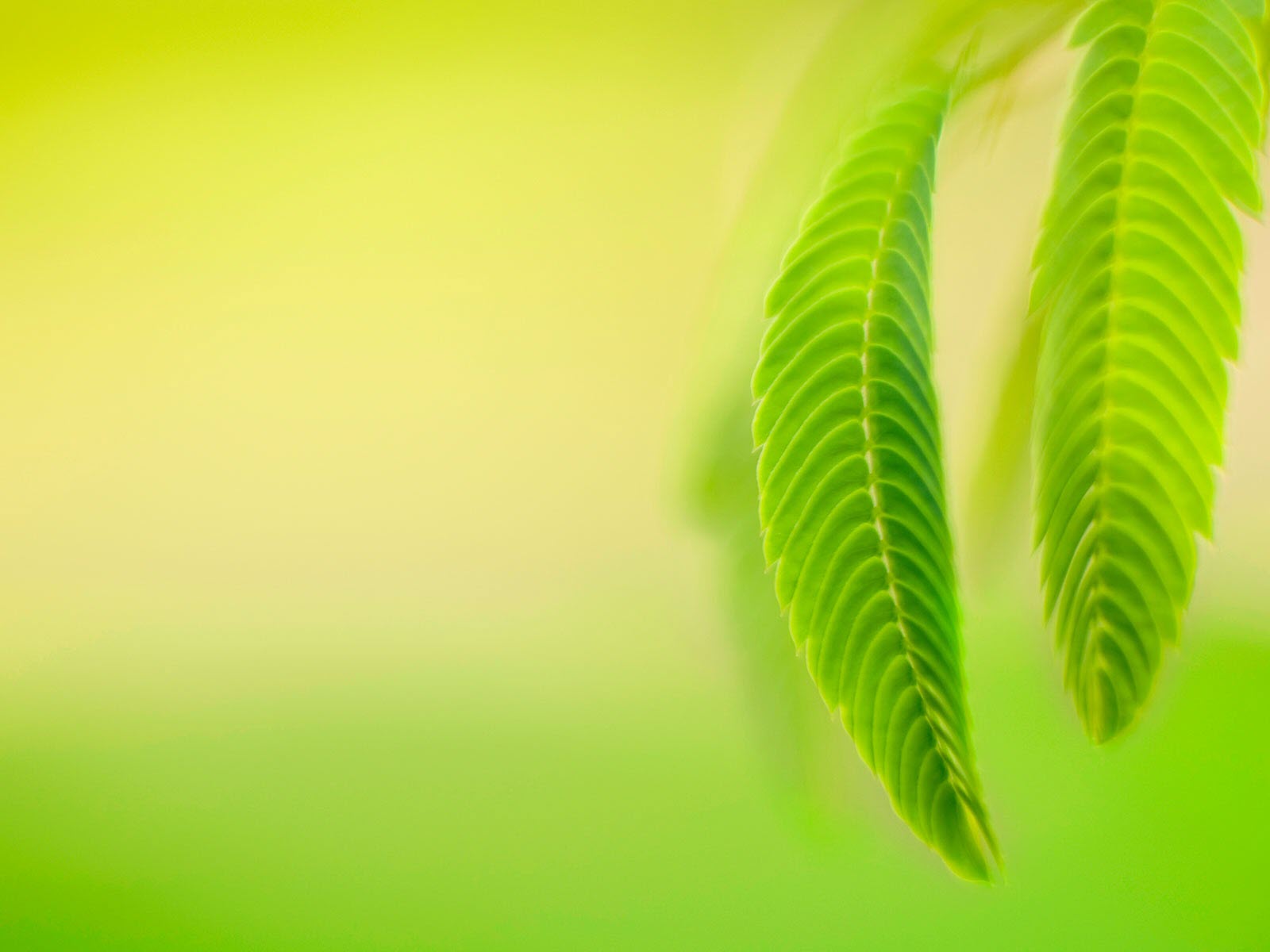 Simple Yet Beautiful PowerPoint Backgrounds – Stunning PP, PPT Backgrounds
