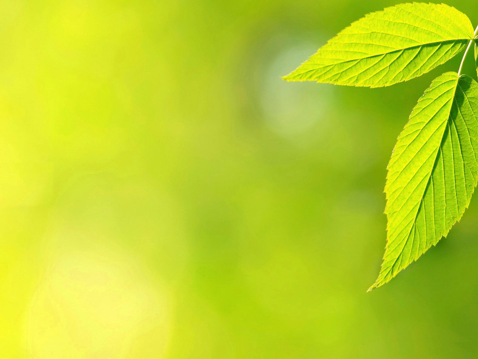 Simple Yet Beautiful PowerPoint Backgrounds – Stunning PP, PPT Backgrounds