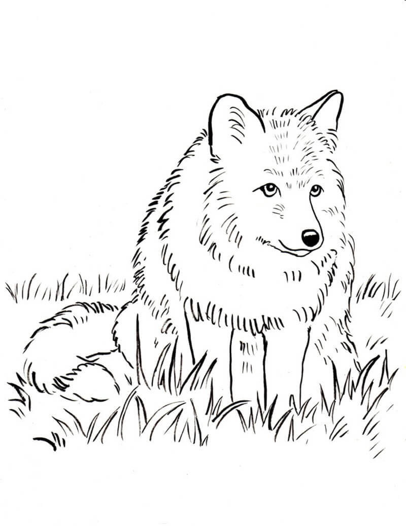 The Most Beautiful Anime Fox Coloring Pages