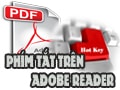 Compilation of Keyboard Shortcuts in Adobe Reader on Windows