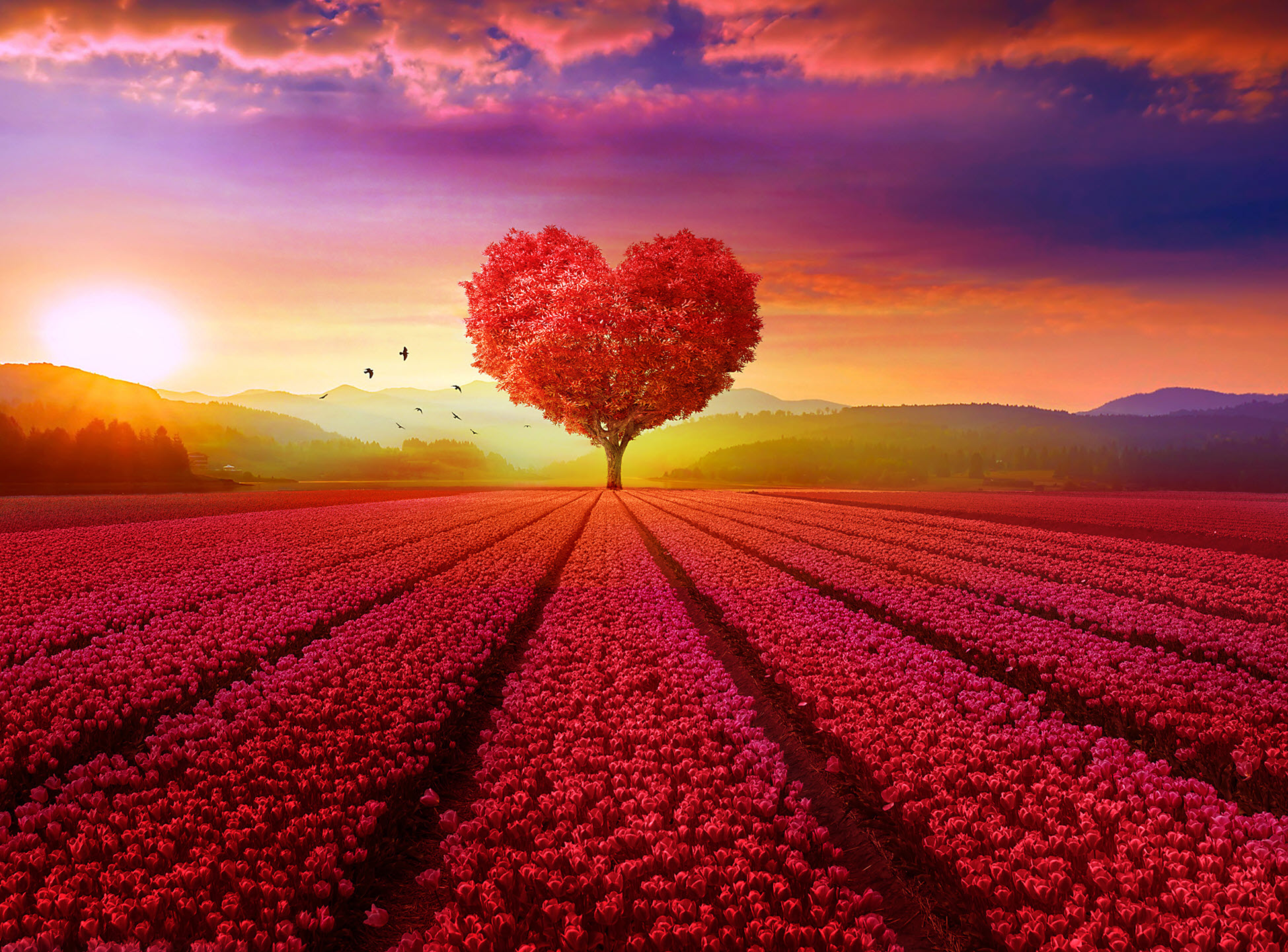 Beautiful Landscape Avatar