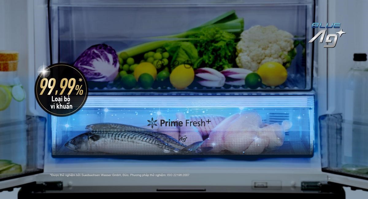 Say goodbye to pollution worries with refrigerators featuring bacteria ...