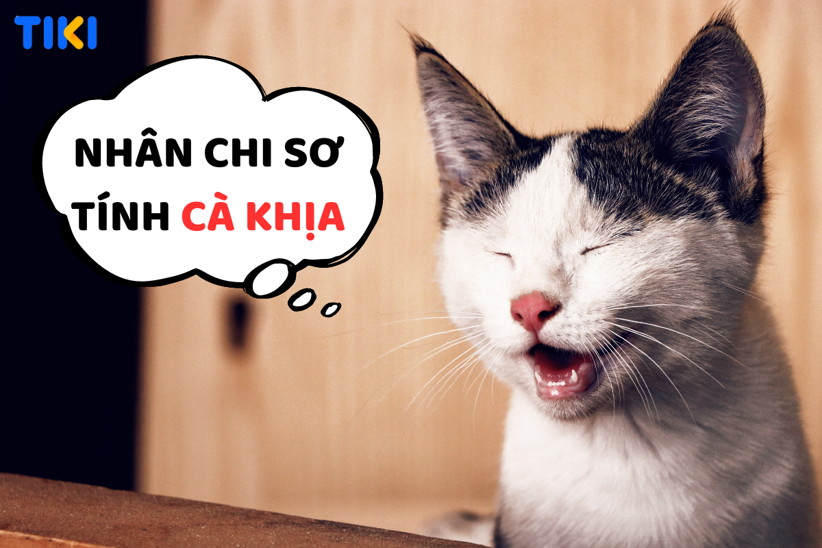 What is roasting? A collection of savage, concise, and intense roasting ...