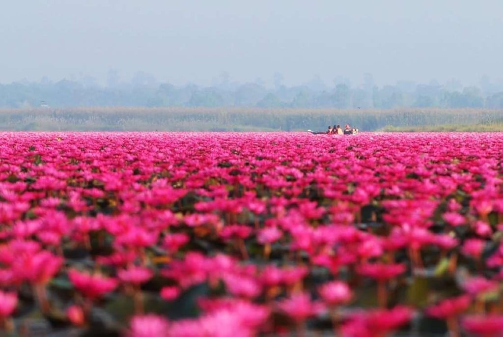 Discover 10 Enchanting Pink-Tinted Travel Destinations Worldwide - Mytour