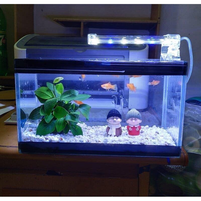 Top 10 Addresses for Affordable and Reliable Aquariums in Ho Chi Minh ...