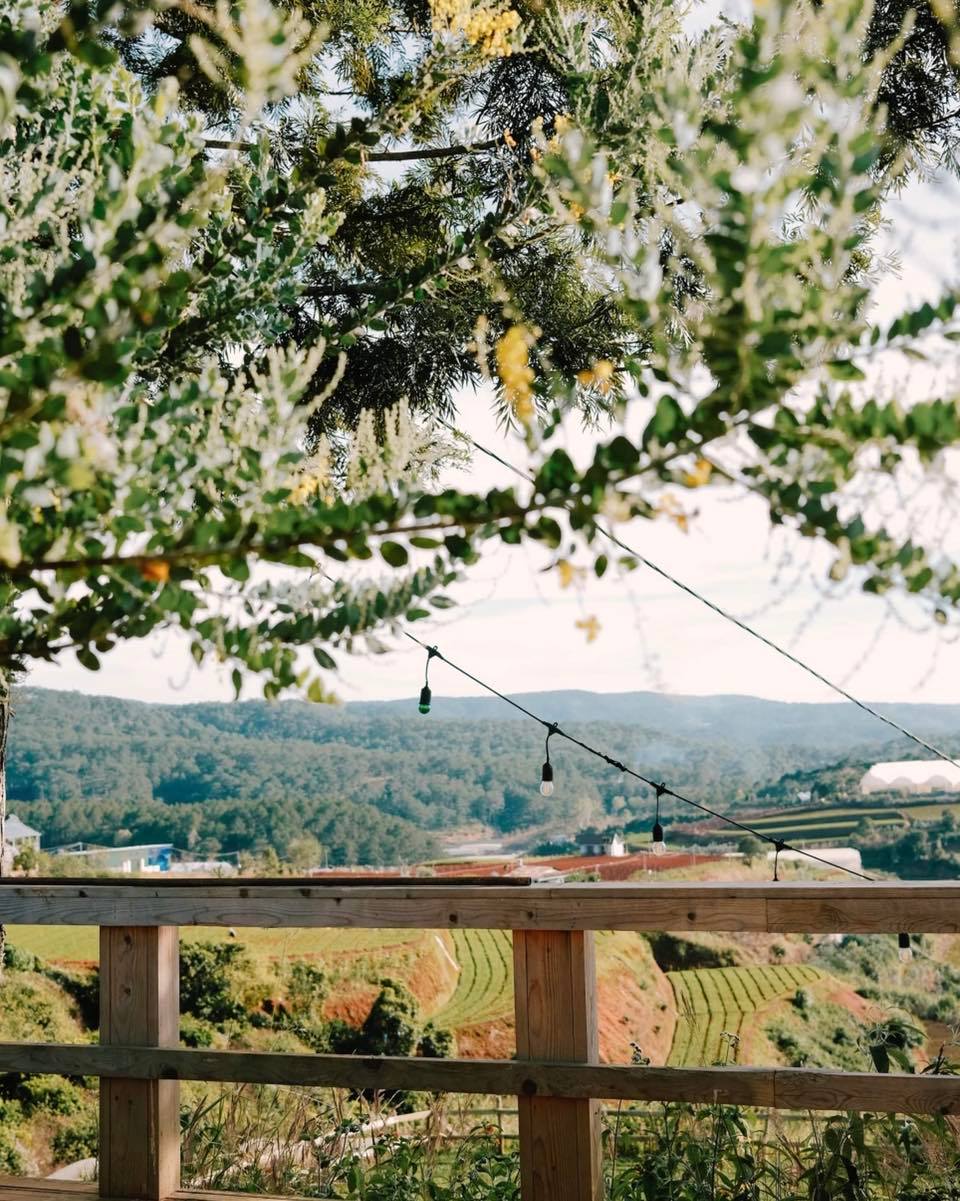 Discover the Charm of Chika Farm: A Brand New Sheep Farm in Dalat - Mytour