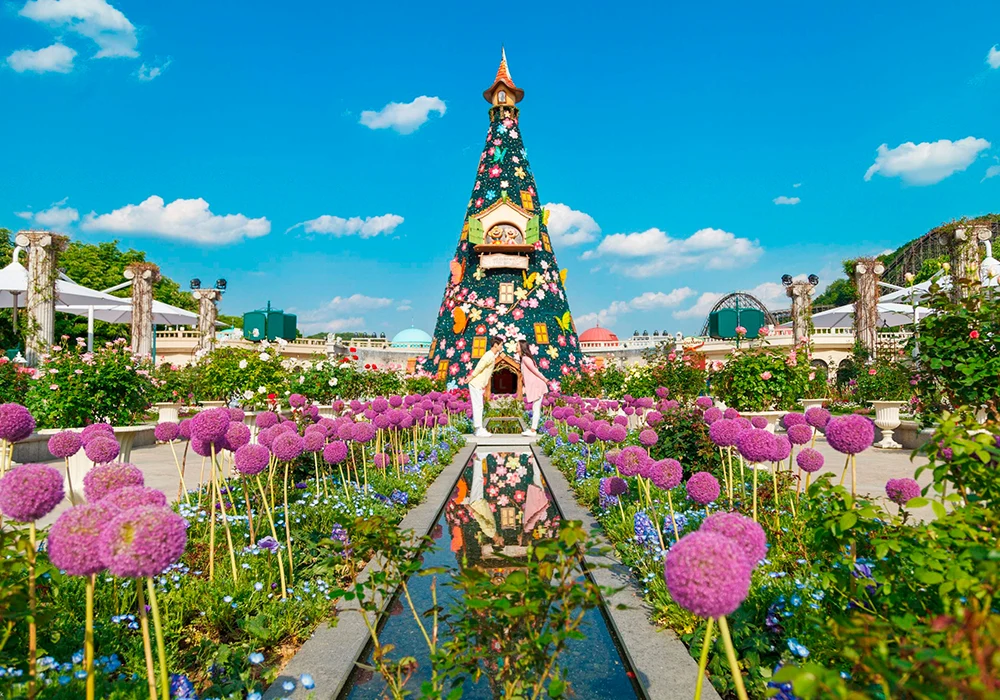 Everland Korea: The Land of Fun and Adventure - Klook Blog