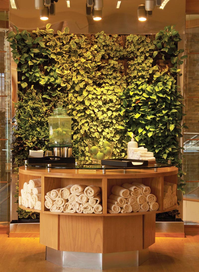 Beautiful Spa Visuals