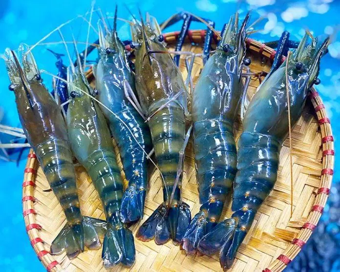 Essential Things to Know When Eating Shrimp for Maintaining Health ...