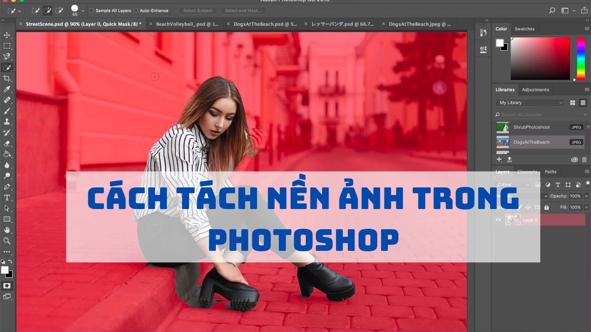 Step By Step Guide To Removing Backgrounds In Photoshop