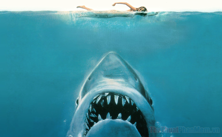 Best Shark Movies Compilation