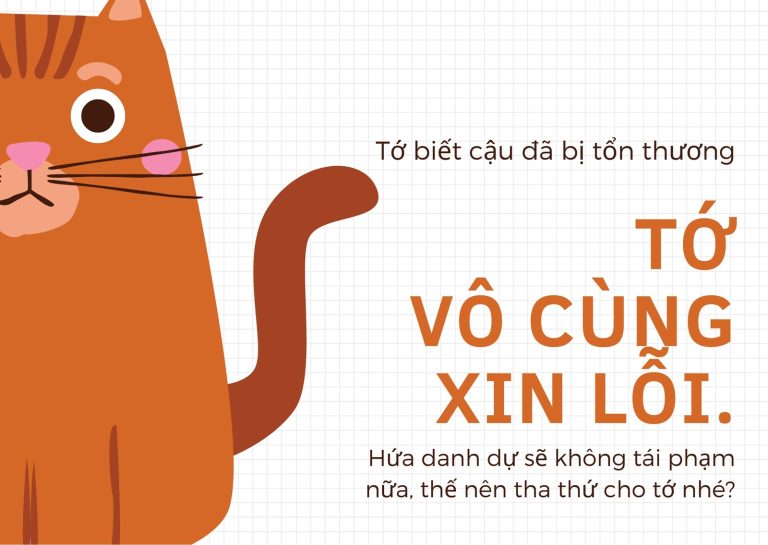 Compilation of adorable, charming, and hilarious apology memes