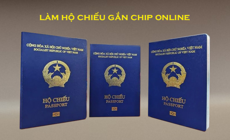 Quick and Easy Guide to Getting a Chip Passport Online Delivered to ...