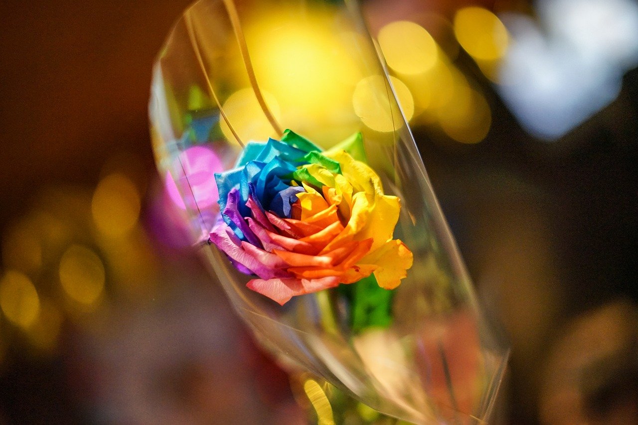 Gorgeous Five-color Rose Images