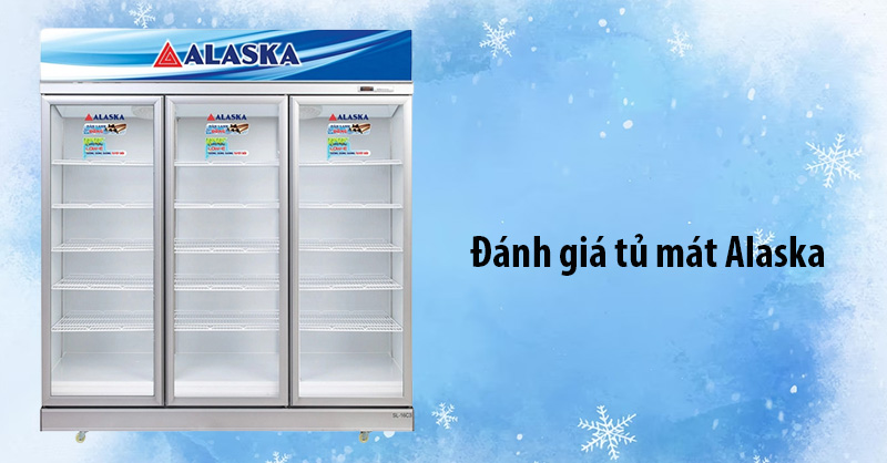 In-Depth Review of Alaska Refrigerator: Design, Technology, and Features