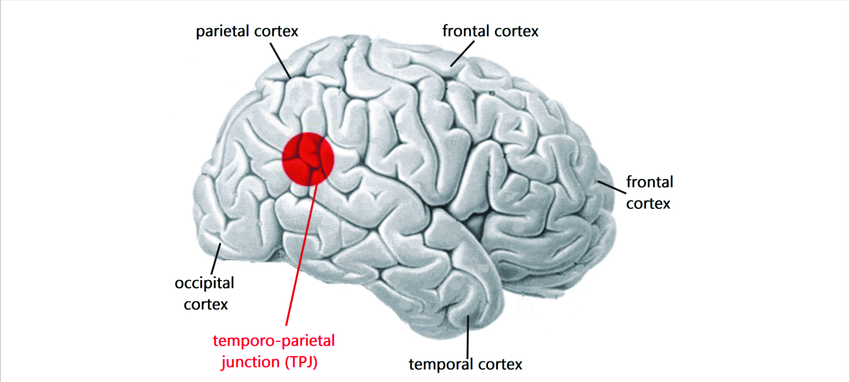 Unraveling the Mystery: Sensing the Presence of 'Someone' in the Room ...