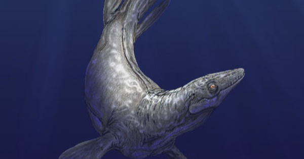 Mysterious Aquatic Creature, 94 Million Years Old, Emerges in the ...