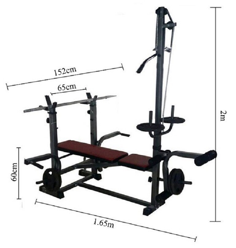 Top 3 Xuki Weight Bench Models Dominating the Market | Mytour.vn