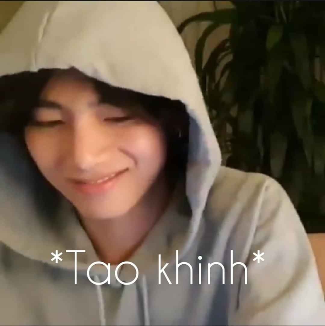 Compilation of witty, bold, and cheeky memes