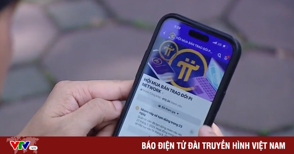 Warning of Risks in Joining the Virtual Currency Network Pi