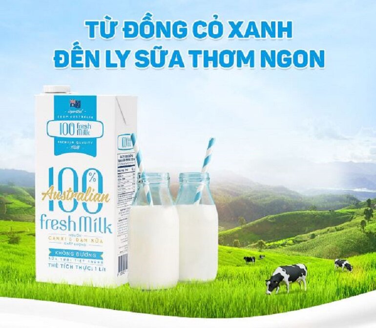 Sự thật về sữa VP Milk: Hiệu quả và giá cả