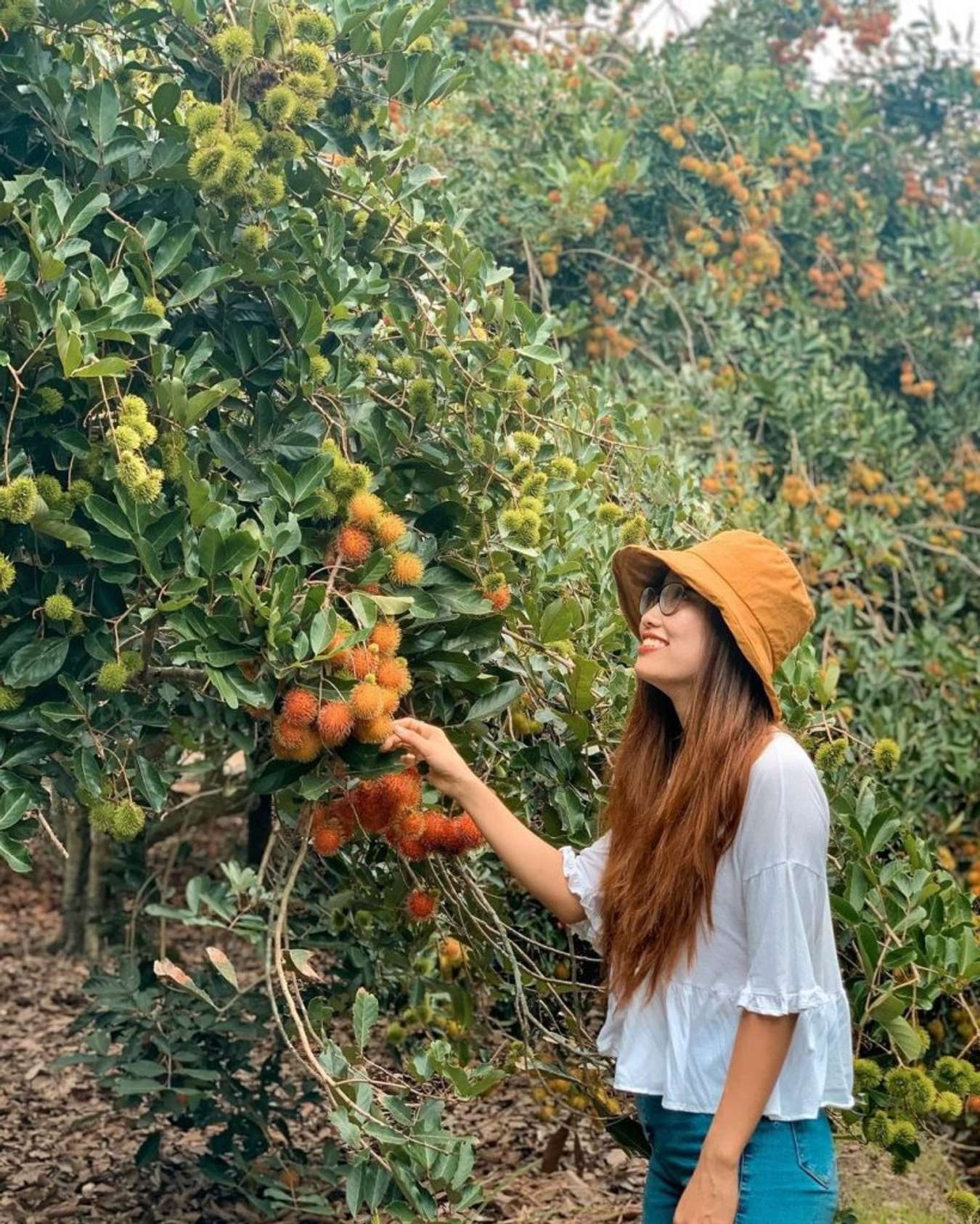 Exploring the Tranquil Beauty of Con Thoi Son in Tien Giang