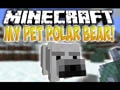 Exploring MyPet in Minecraft