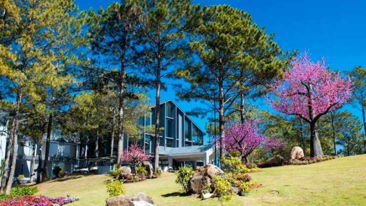 Top 8 Tuyen Lam Lake Resorts in Dalat, from 3 to 5 stars - Mytour