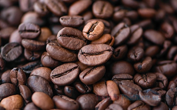 Beautiful Cafe Background
