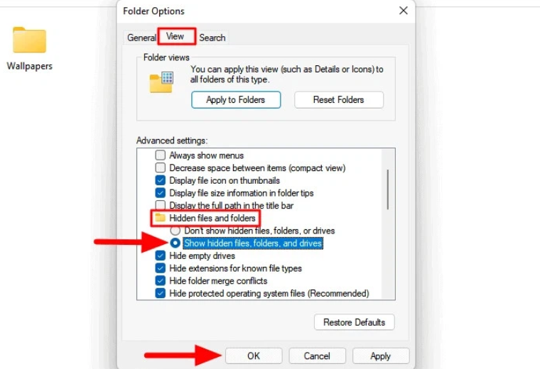 Displaying hidden files on Windows 11 is incredibly simple and fast