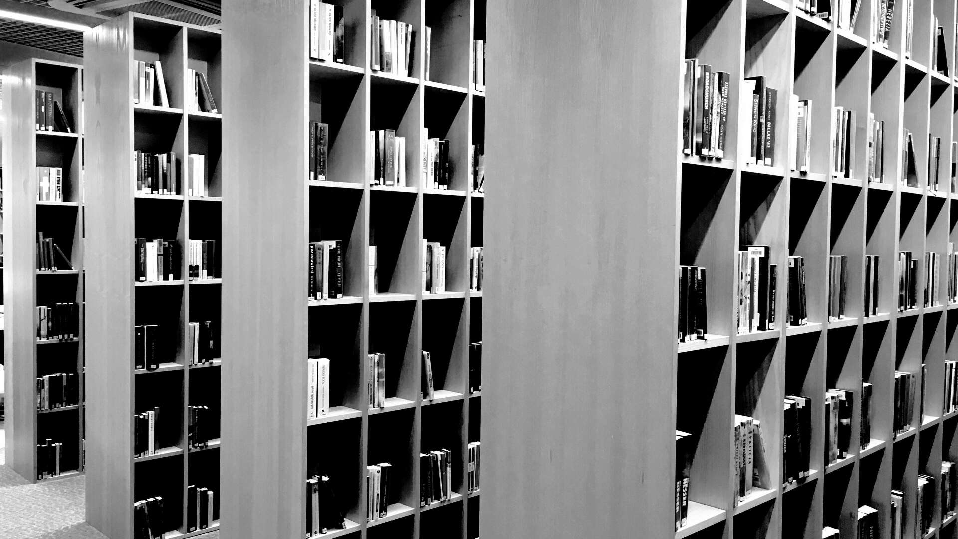 The Most Beautiful Bookshelf Wallpaper