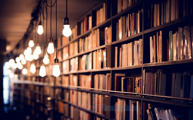 The Most Beautiful Bookshelf Wallpaper