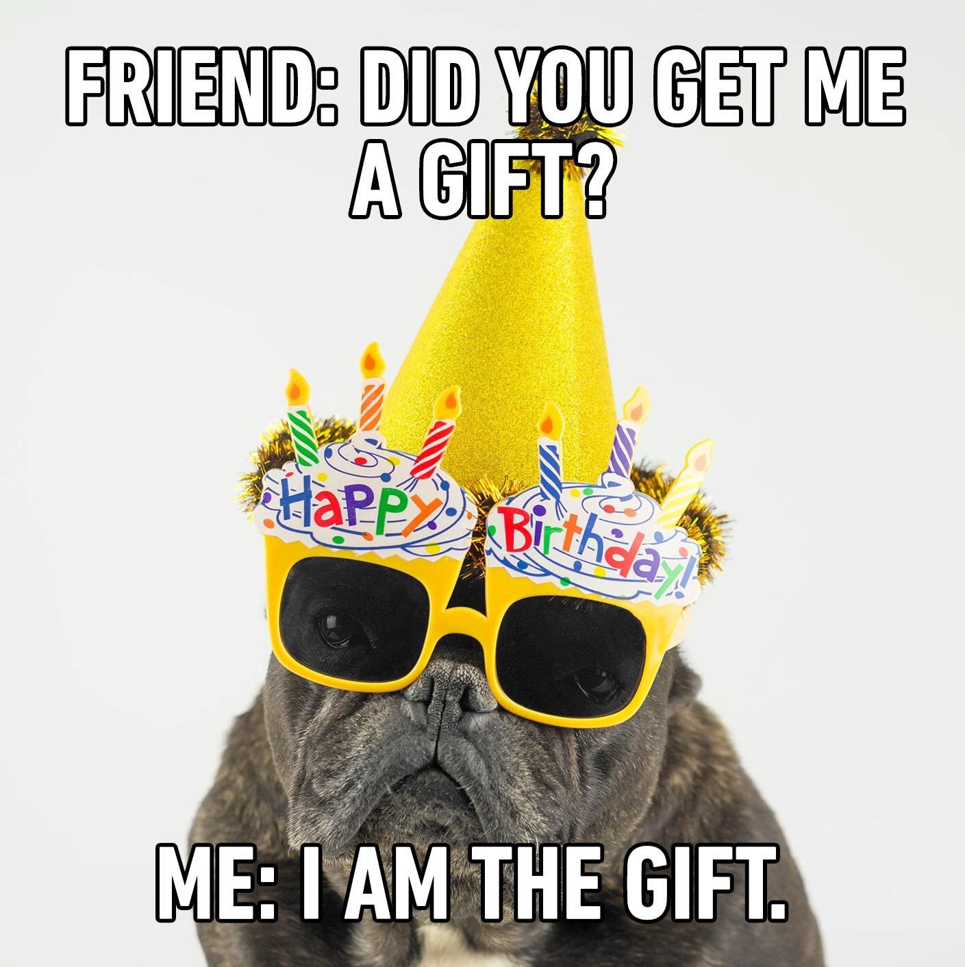 Compilation Of Hilarious And Playful Birthday Greeting Memes