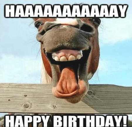 Compilation of Hilarious and Playful Birthday Greeting Memes