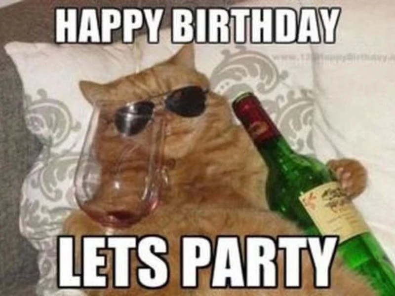 Compilation of Hilarious and Playful Birthday Greeting Memes